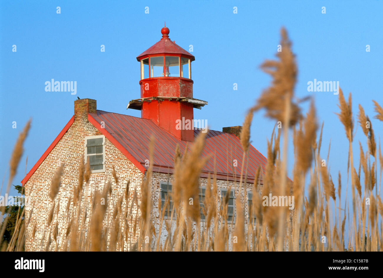 Lighthouse in wheat field Stock Photo - Alamy