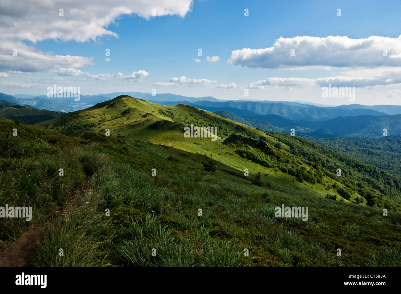 Beautiful green meadows Bieszczady i n Poland Stock Photo - Alamy