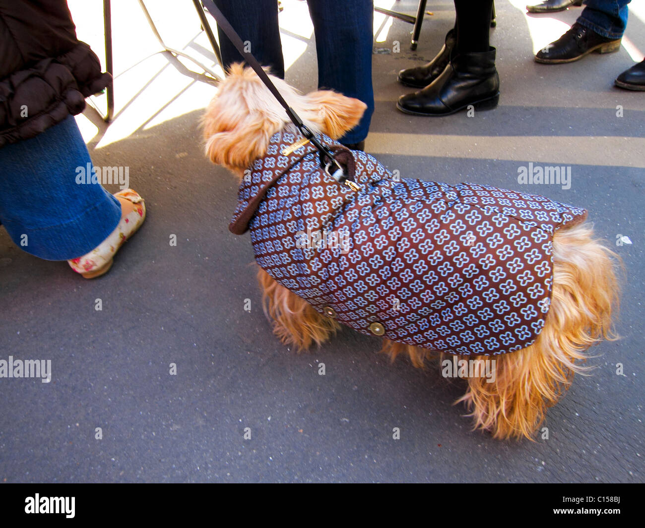 Wearing clothes too small High Resolution Stock Photography and Images ...