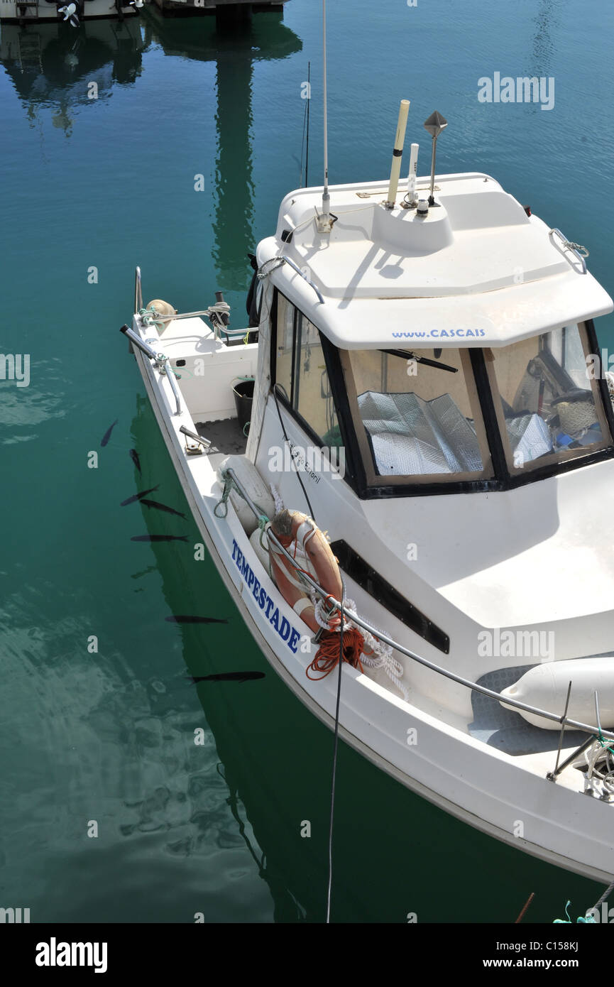 Shade fish hi-res stock photography and images - Alamy