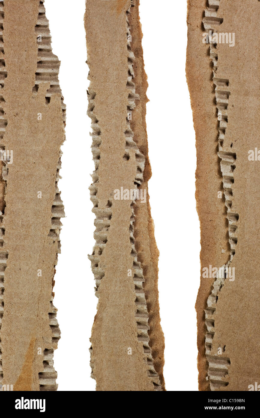 Stripes of corrugated cardboard isolated on white background Stock ...