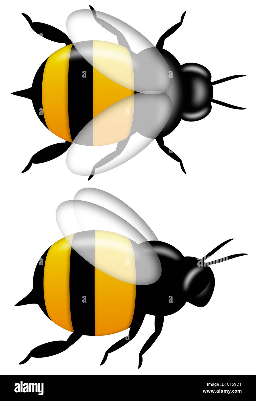 Bumble Bee Top and Side View Illustration Isolated on White Background ...