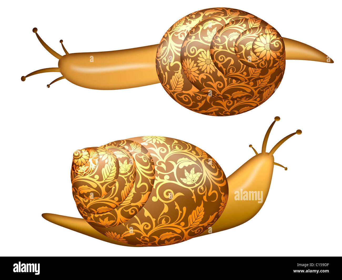 Garden Floral Snail Isolated on White Background Illustration Stock ...