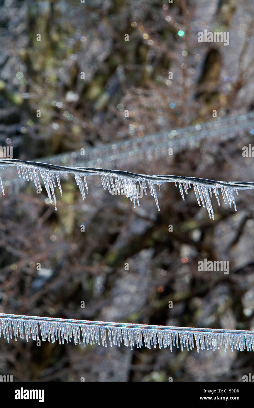 A winter ice storm, freezing rain, forms icicles and causes a power ...