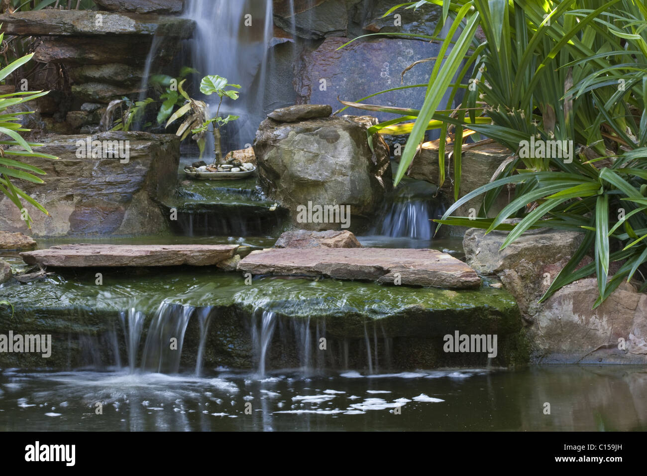 Waterfall in Khao Lak, Thailand Stock Photo - Alamy