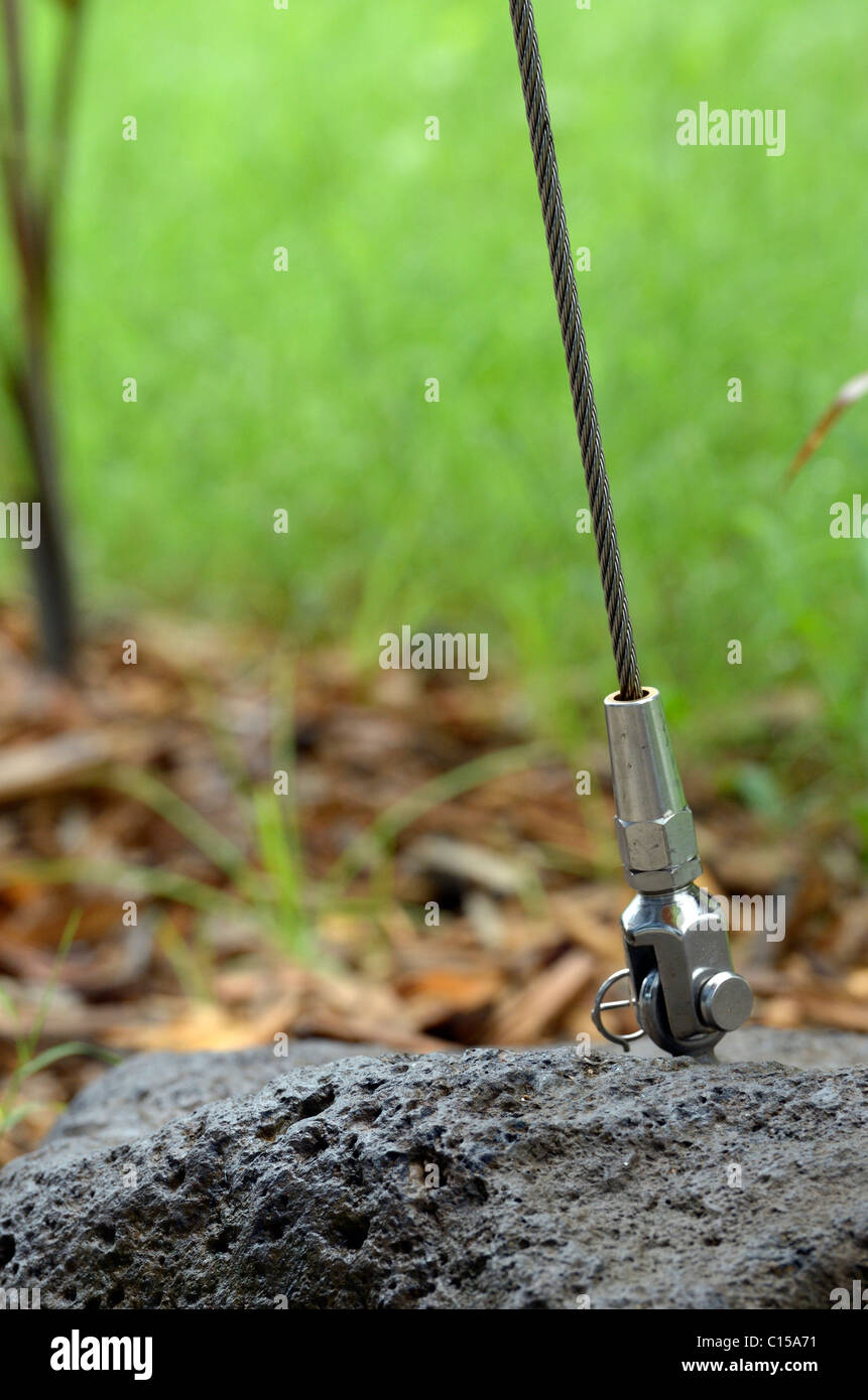 Fixation system hi-res stock photography and images - Alamy