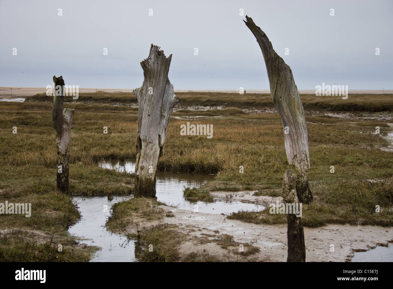 Endangered salt marsh landscape on the North Norfolk Coast Stock Photo ...