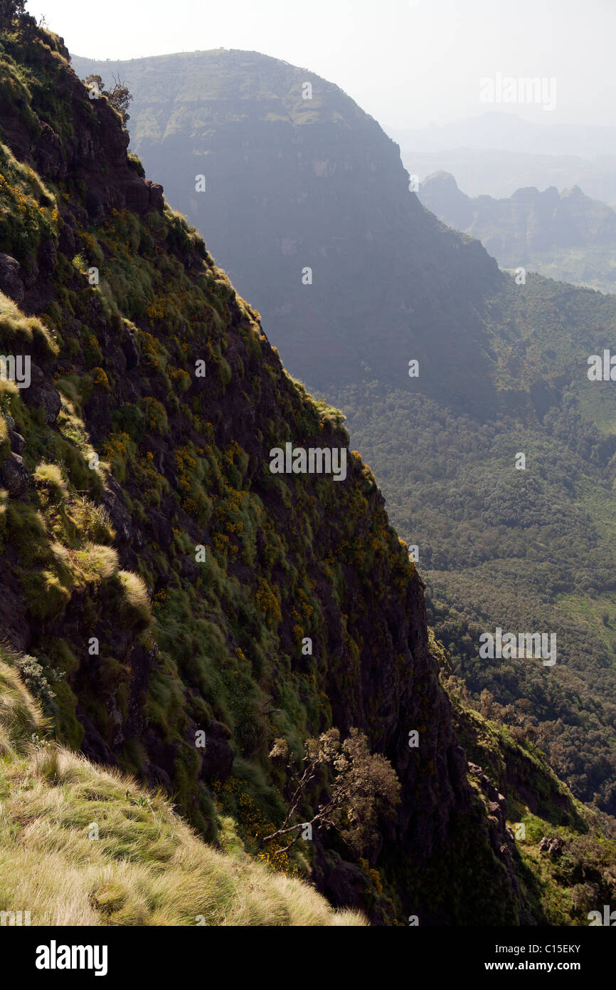 Sankaber ethiopia hi-res stock photography and images - Alamy