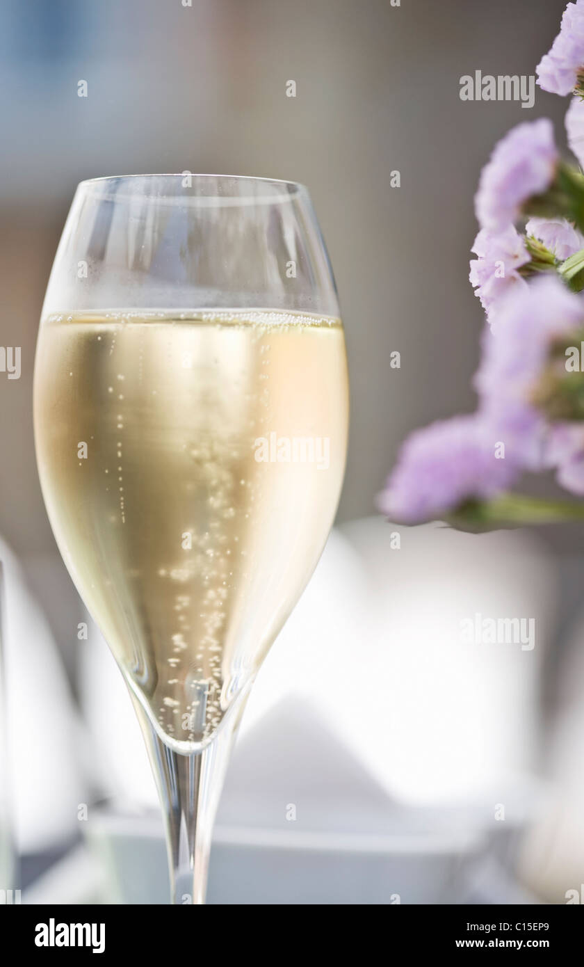 Close-up of a glass of champagne Stock Photo - Alamy