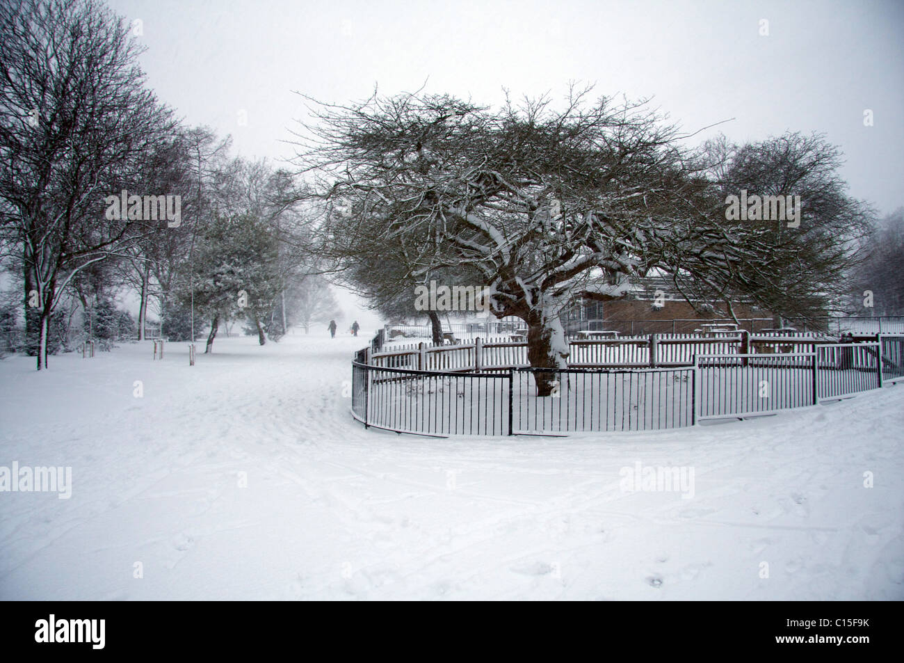 Snow fall on Hampstead Heath London, England - 02.02.09 Stock Photo - Alamy