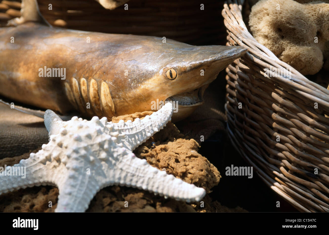 Souvenirs, starfish, Pothia, Kalymnos, Dodecanese Islands, Greece Stock ...