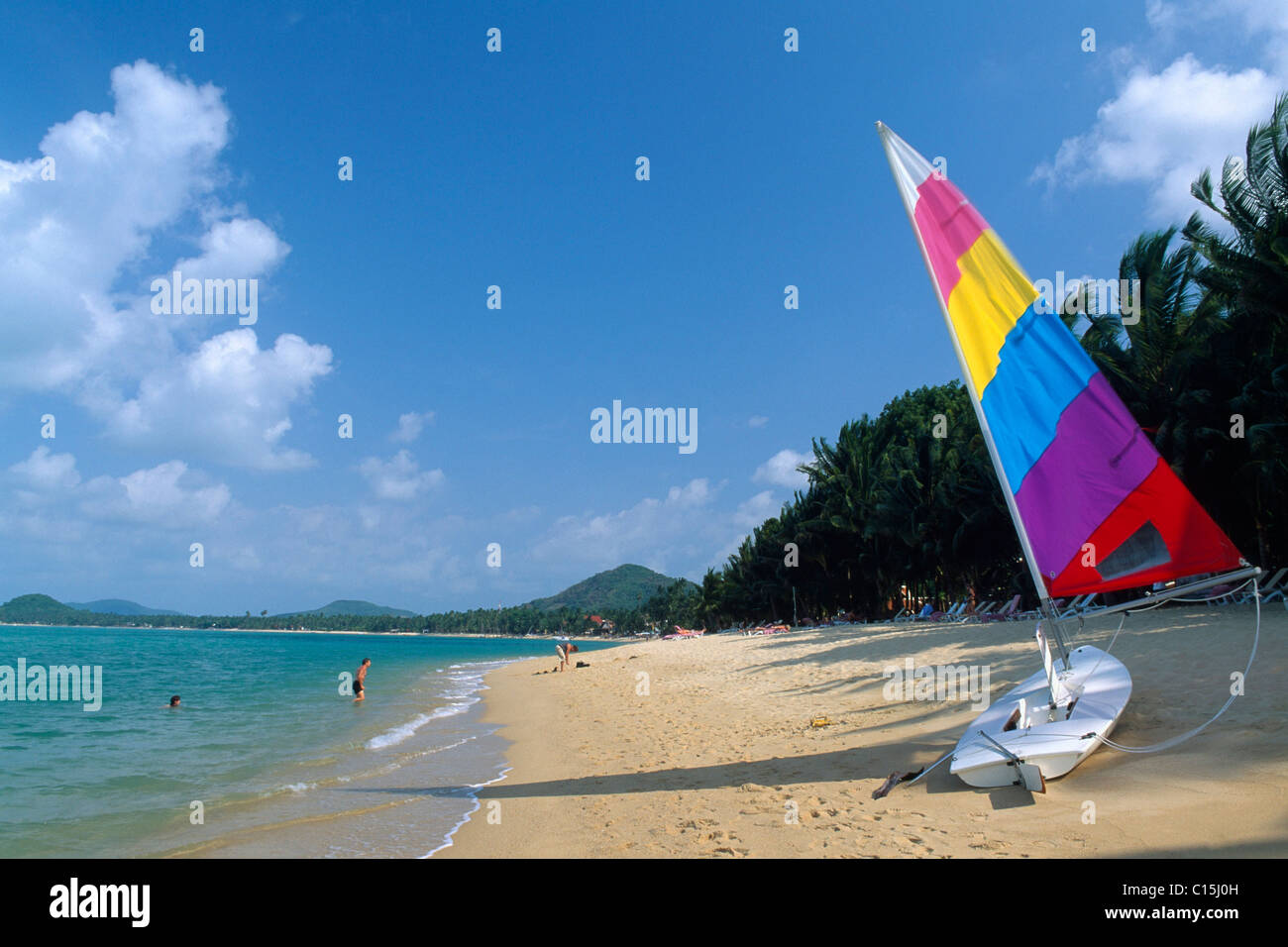 Windsurf, sailboard on Mae Nam Beach, Ko Samui, Thailand, Southeast ...