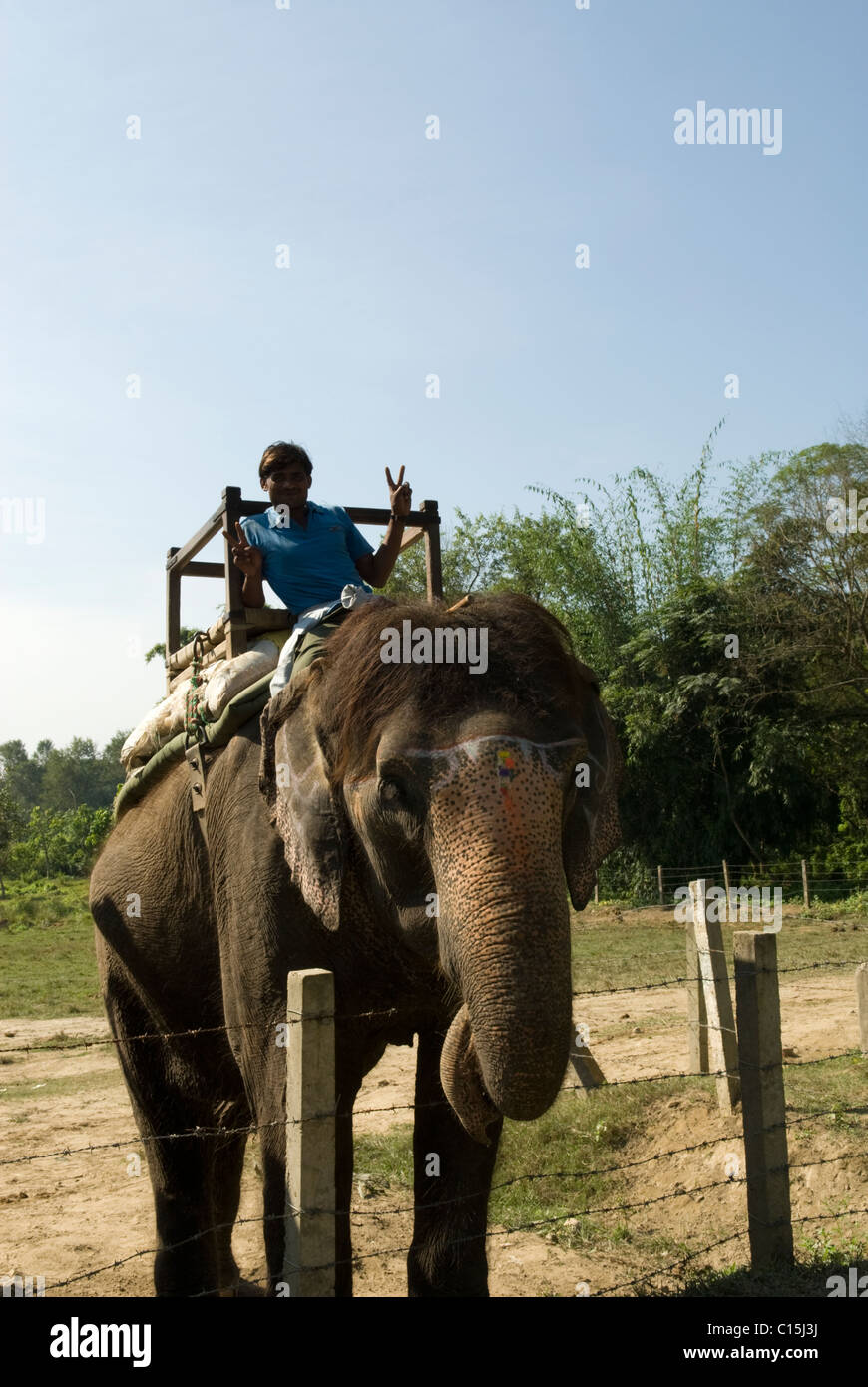 Elephant And Howdah Stock Photos & Elephant And Howdah Stock Images - Alamy