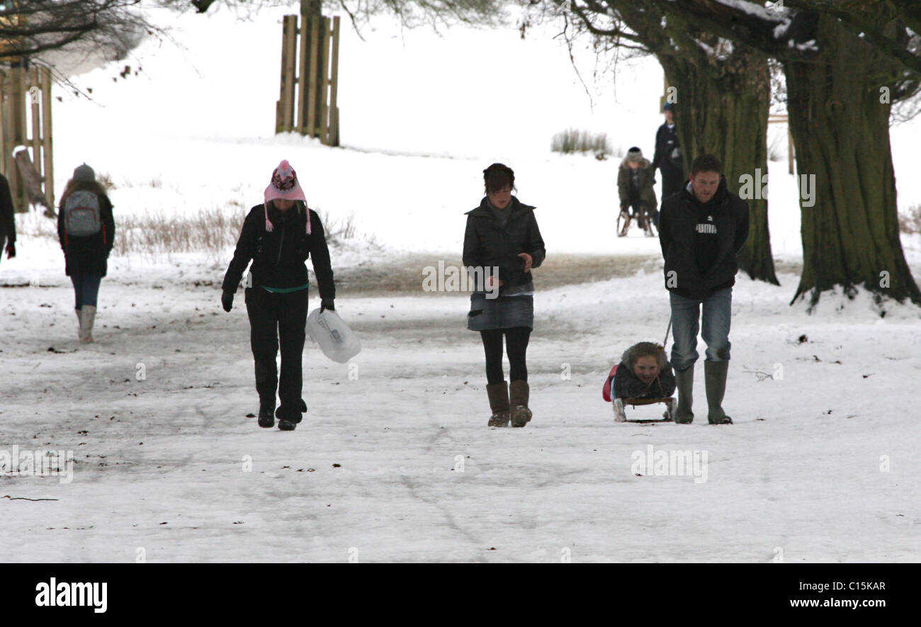 Revellers takes advantage of the snow yet to melt Richmond Park the day ...