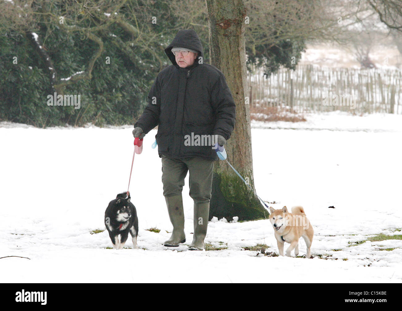 Revellers takes advantage of the snow yet to melt Richmond Park the day ...