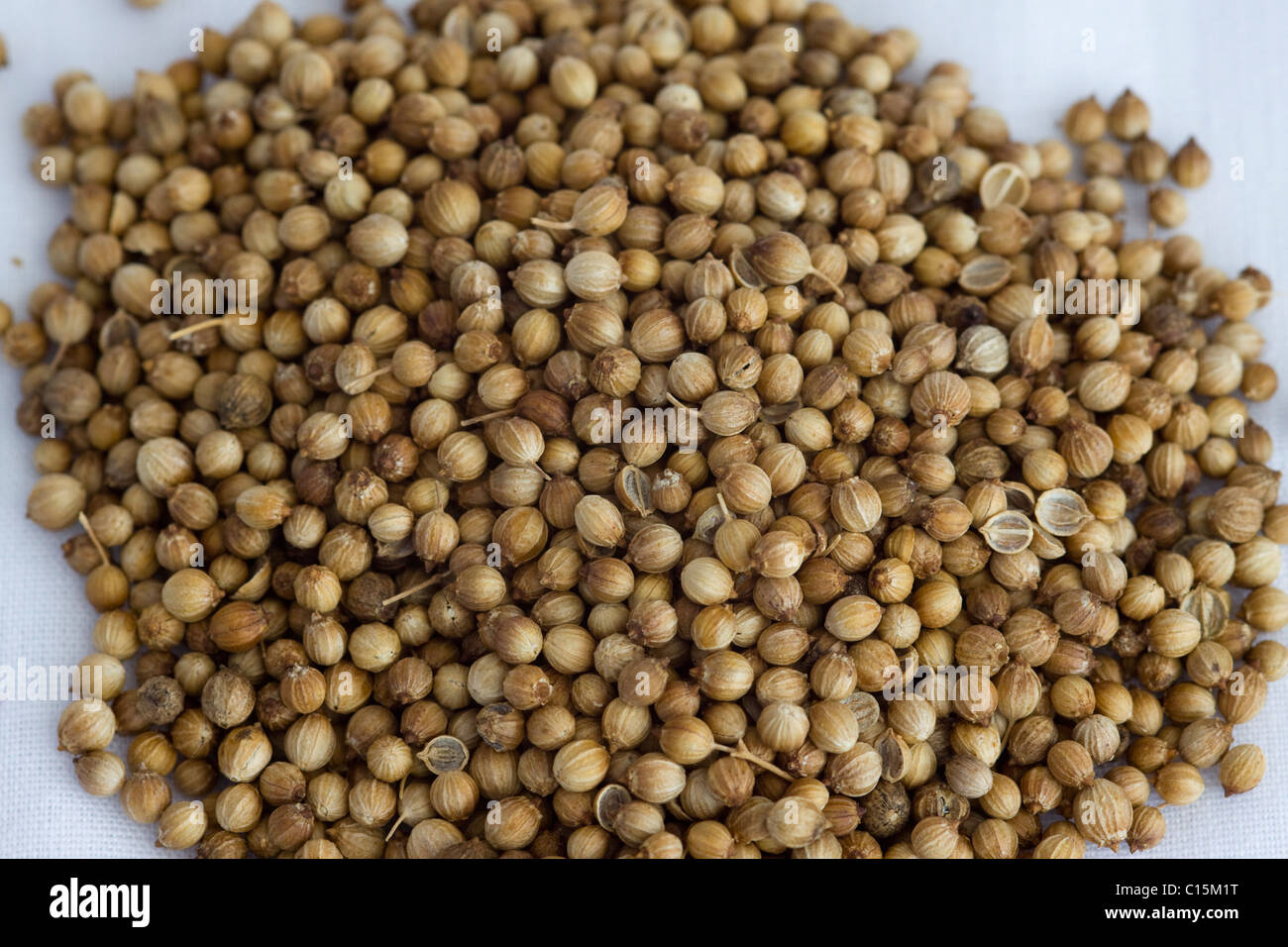 Coriander Seeds on White Stock Photo - Alamy