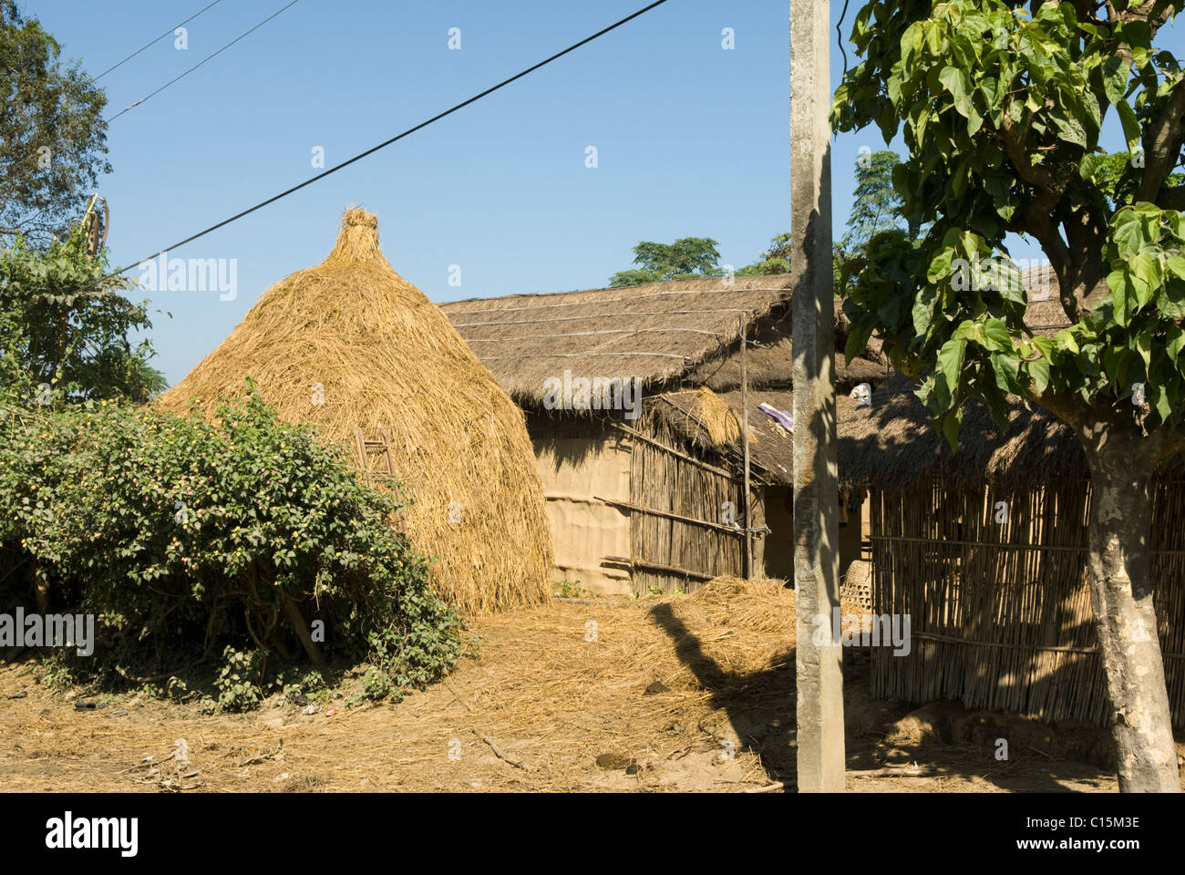 Tharu village, Chitwan, Nepal Stock Photo - Alamy