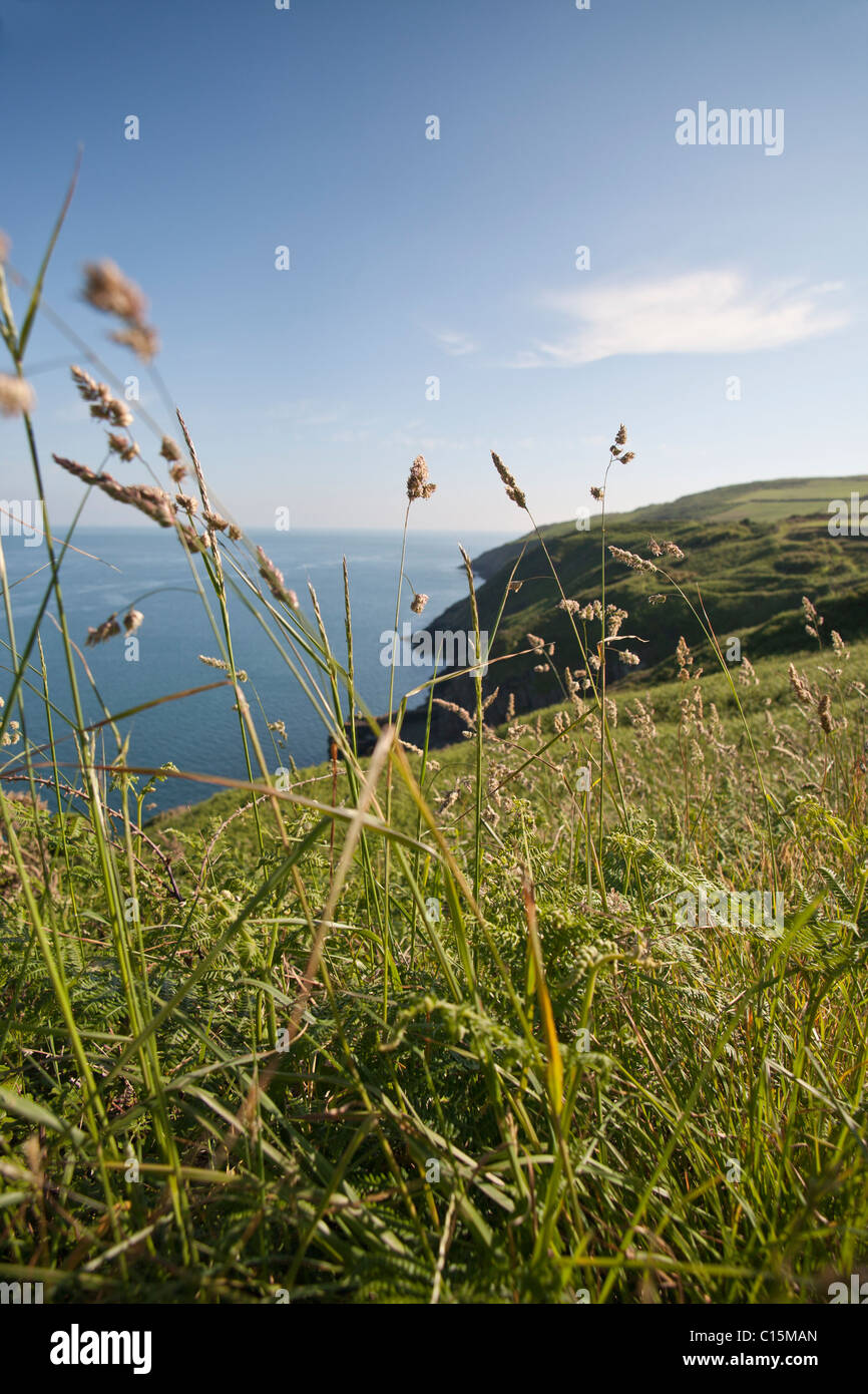 Llŷn Peninsula, (Pen Llŷn, Llyn Peninsula, Lleyn Peninsula), North west ...