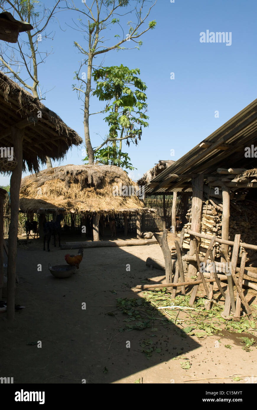 Nepal tharu house hi-res stock photography and images - Alamy