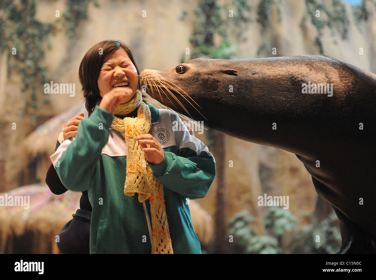 Seal ed kiss student giggles delight hi-res stock photography and ...