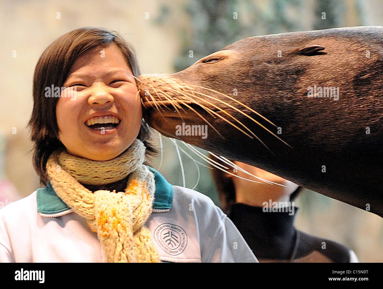 Seal ed kiss student giggles delight hi-res stock photography and ...