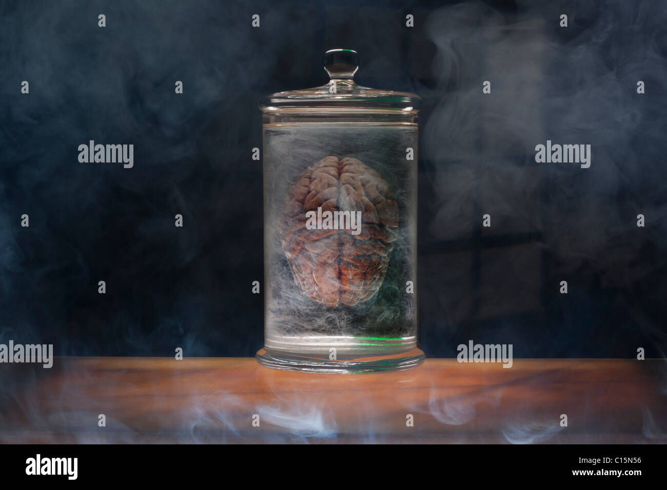 Brain in a Jar Stock Photo - Alamy
