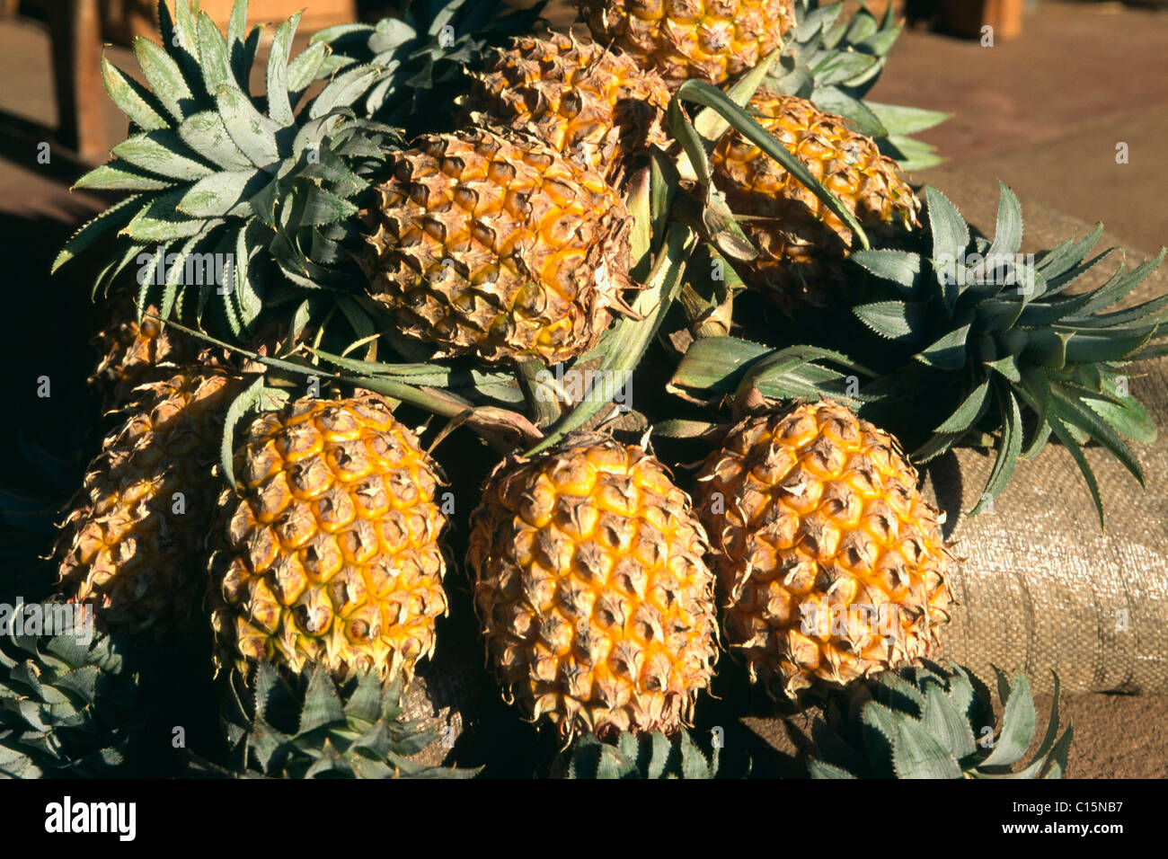 Pineapples, Sri Lanka, South Asia Stock Photo - Alamy
