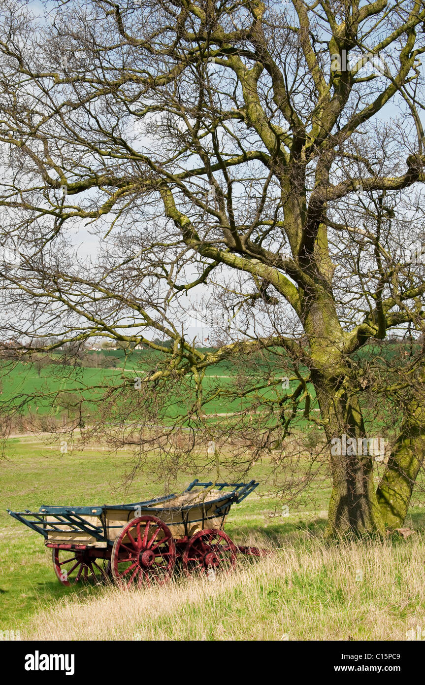 Old farm cart under tree in rural surrounding Stock Photo - Alamy