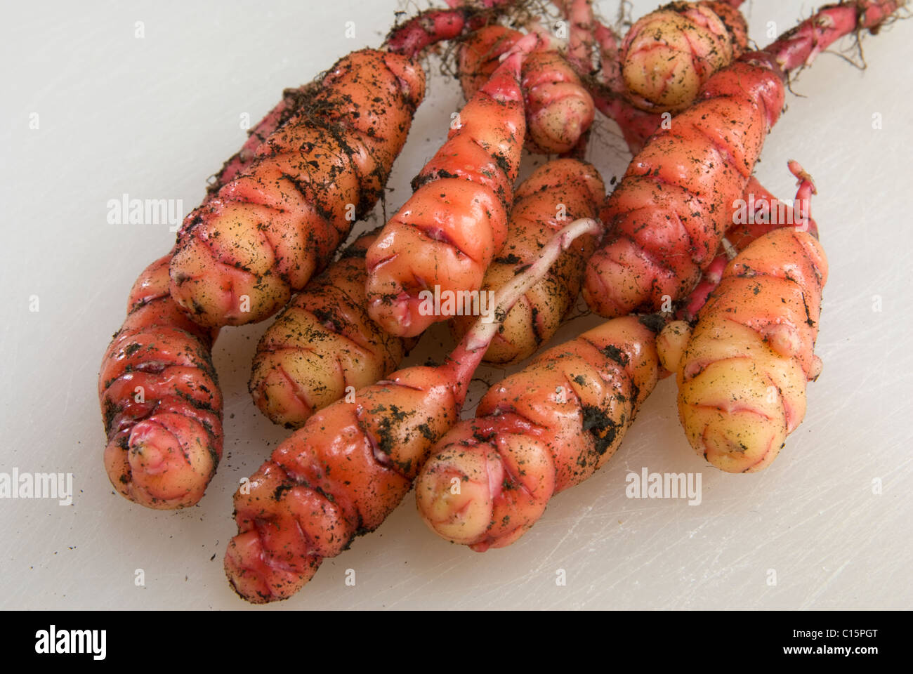 Knobbly vegetables hi-res stock photography and images - Alamy