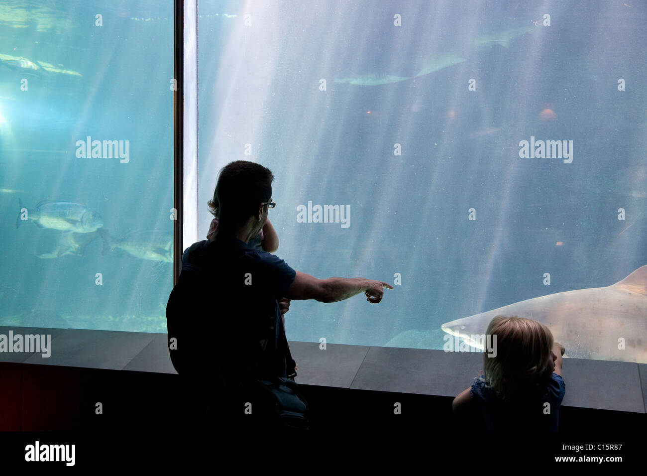Man and child watching fish at cape Town Aquarium Stock Photo - Alamy