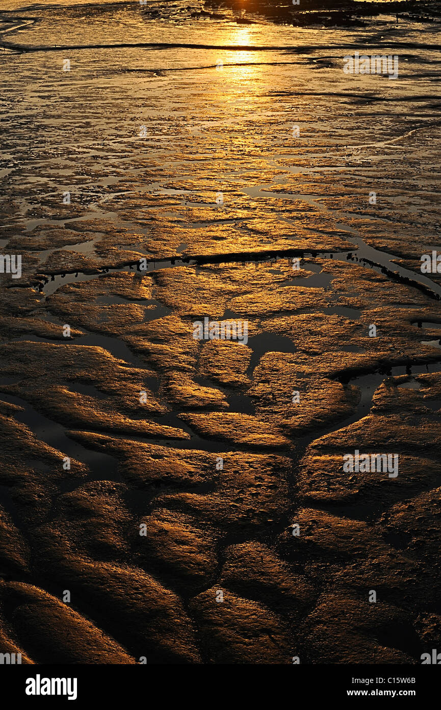 Sun reflections on mud on marshes under Oleron island viaduct at ...