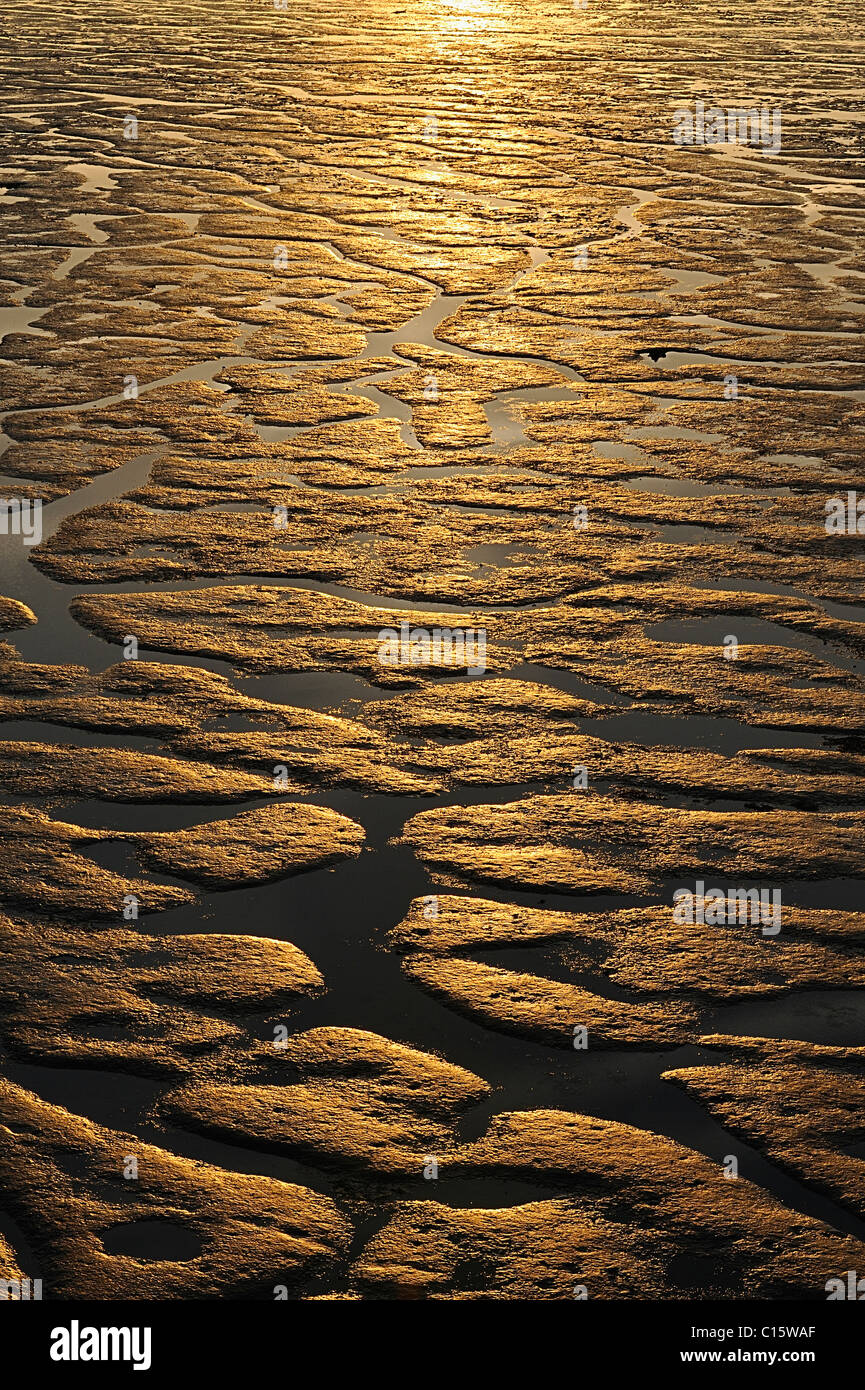 Sun reflections on mud on marshes under Oleron island viaduct at ...