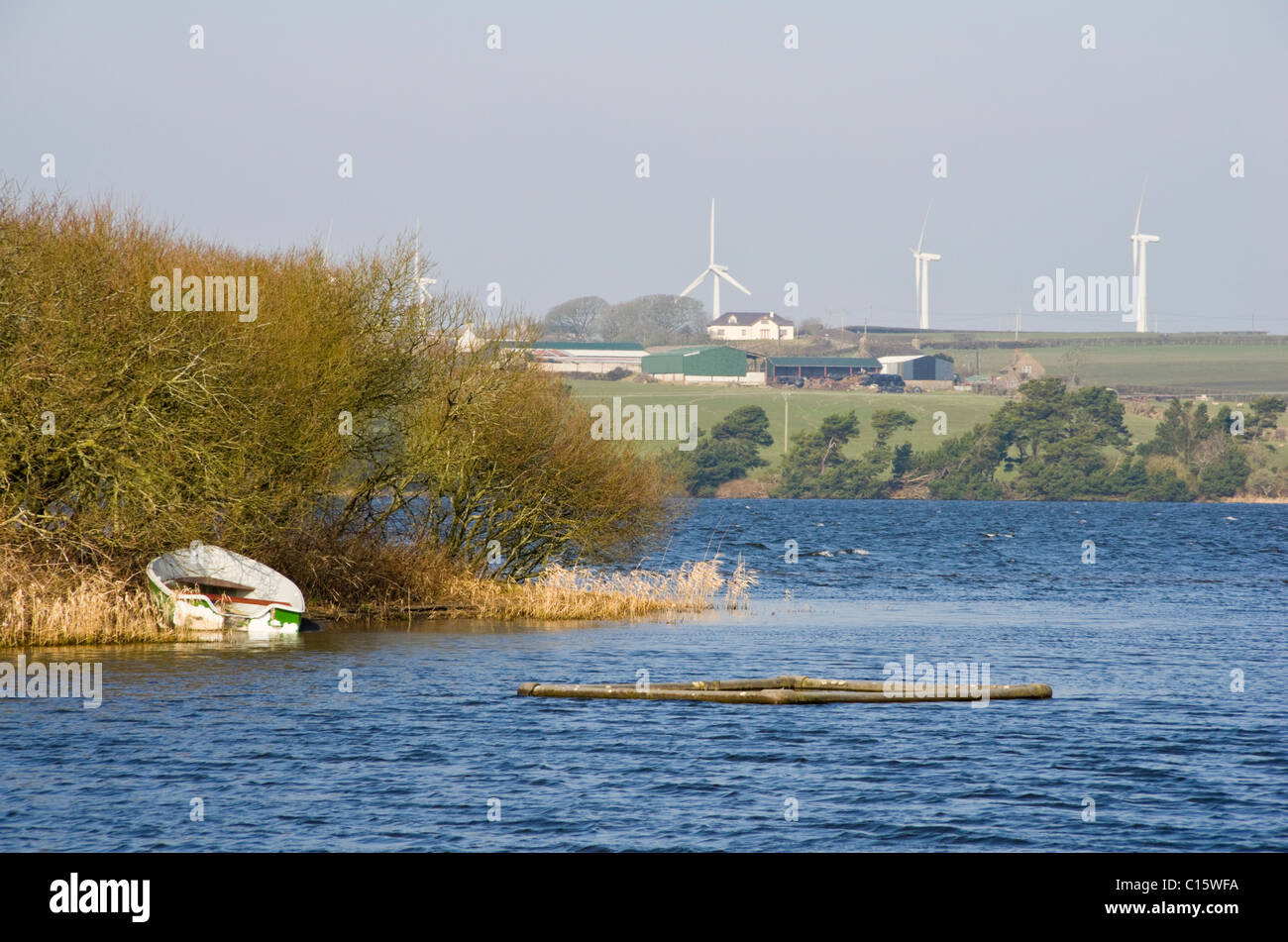 Llanerchymedd, Isle of Anglesey, North Wales, UK. View across Llyn Alaw ...