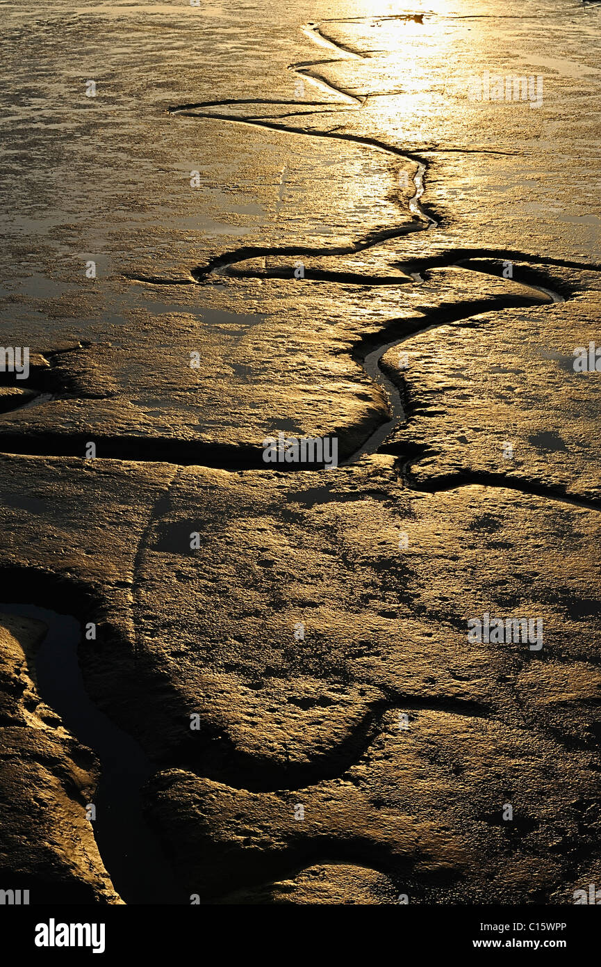 Sun reflections on mud on marshes under Oleron island viaduct at ...