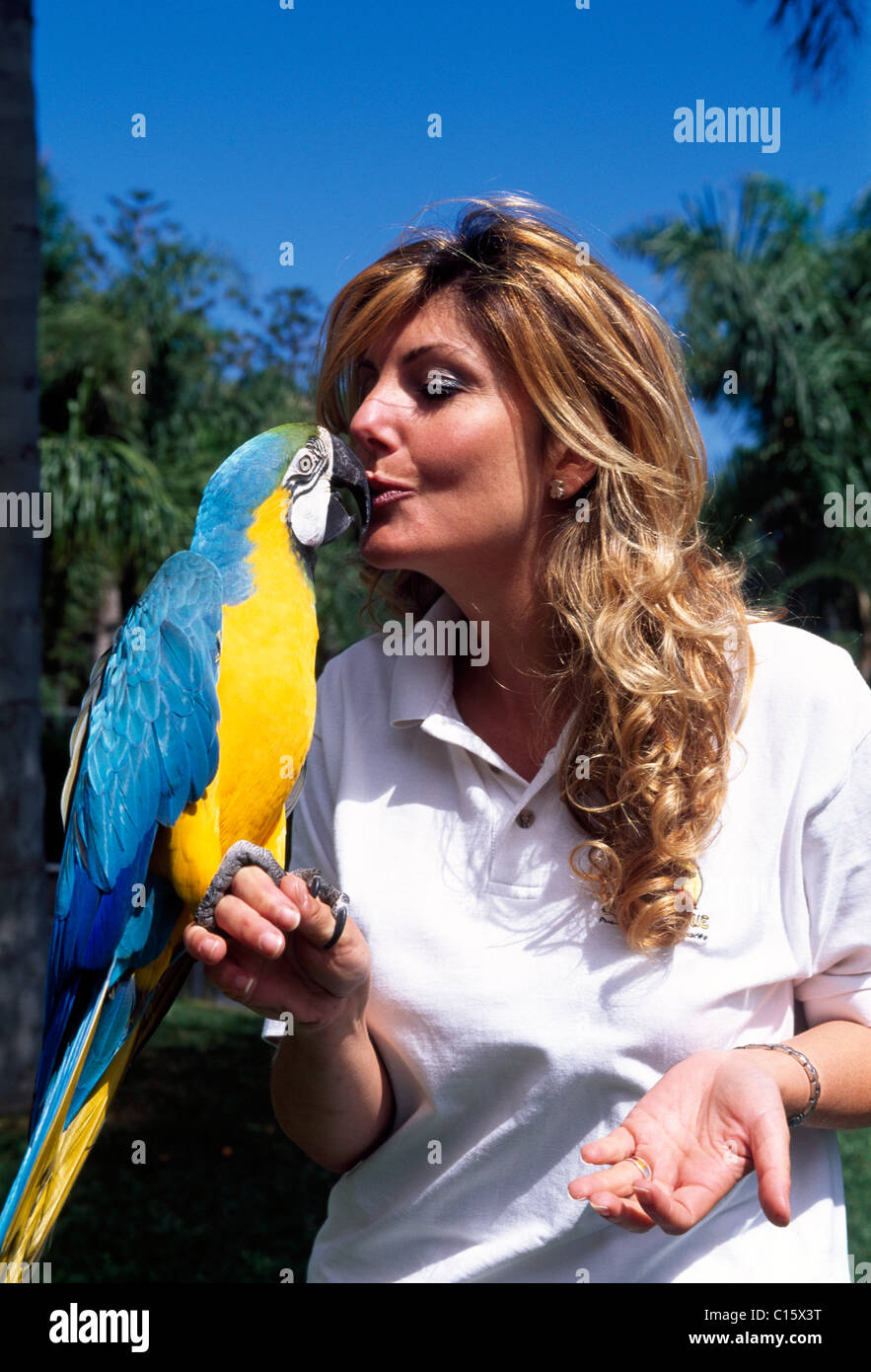 Parrot show in Loro Park, Puerto de la Cruz, Tenerife, Canary Islands ...