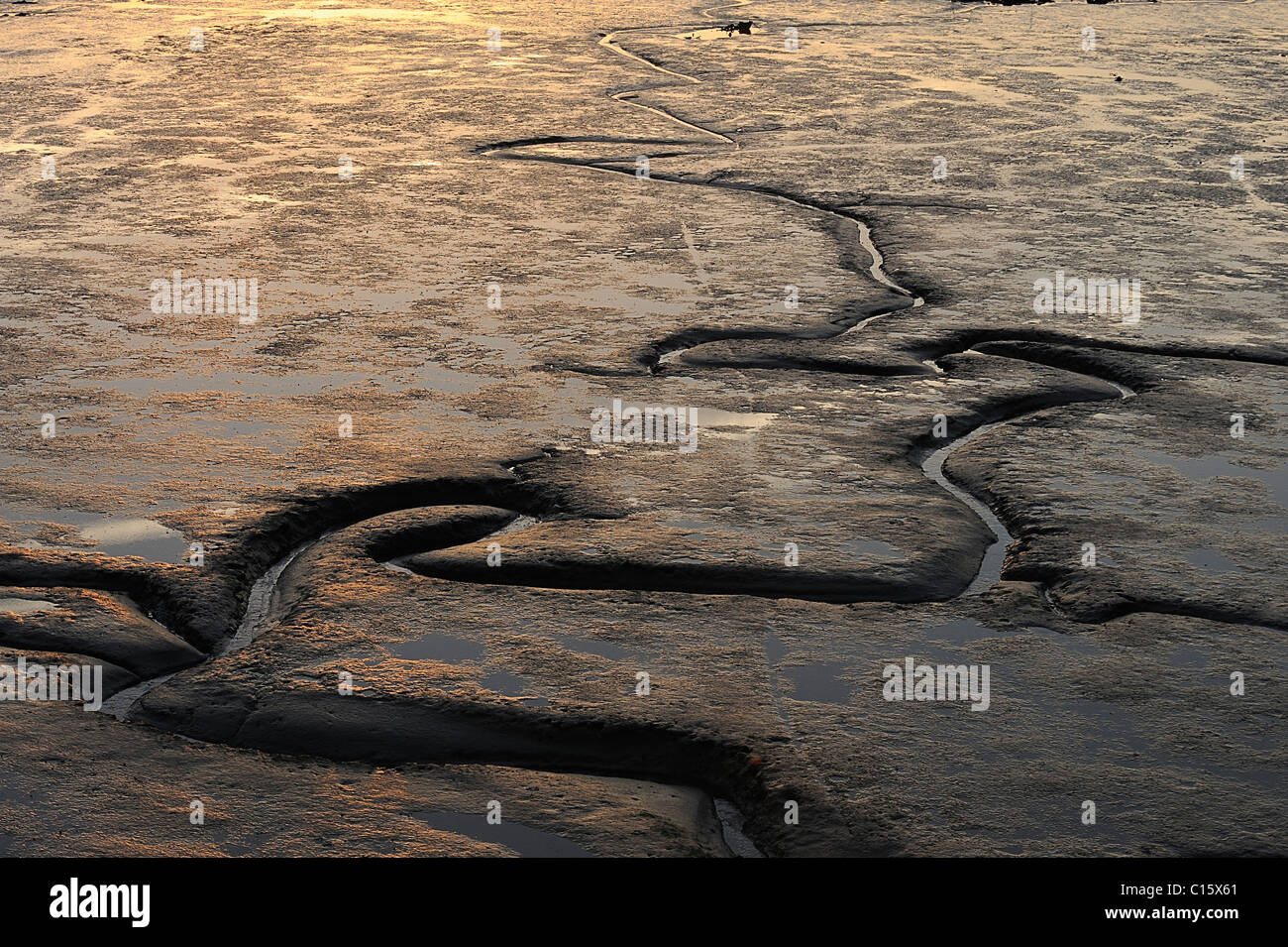 Sun reflections on mud on marshes under Oleron island viaduct at ...