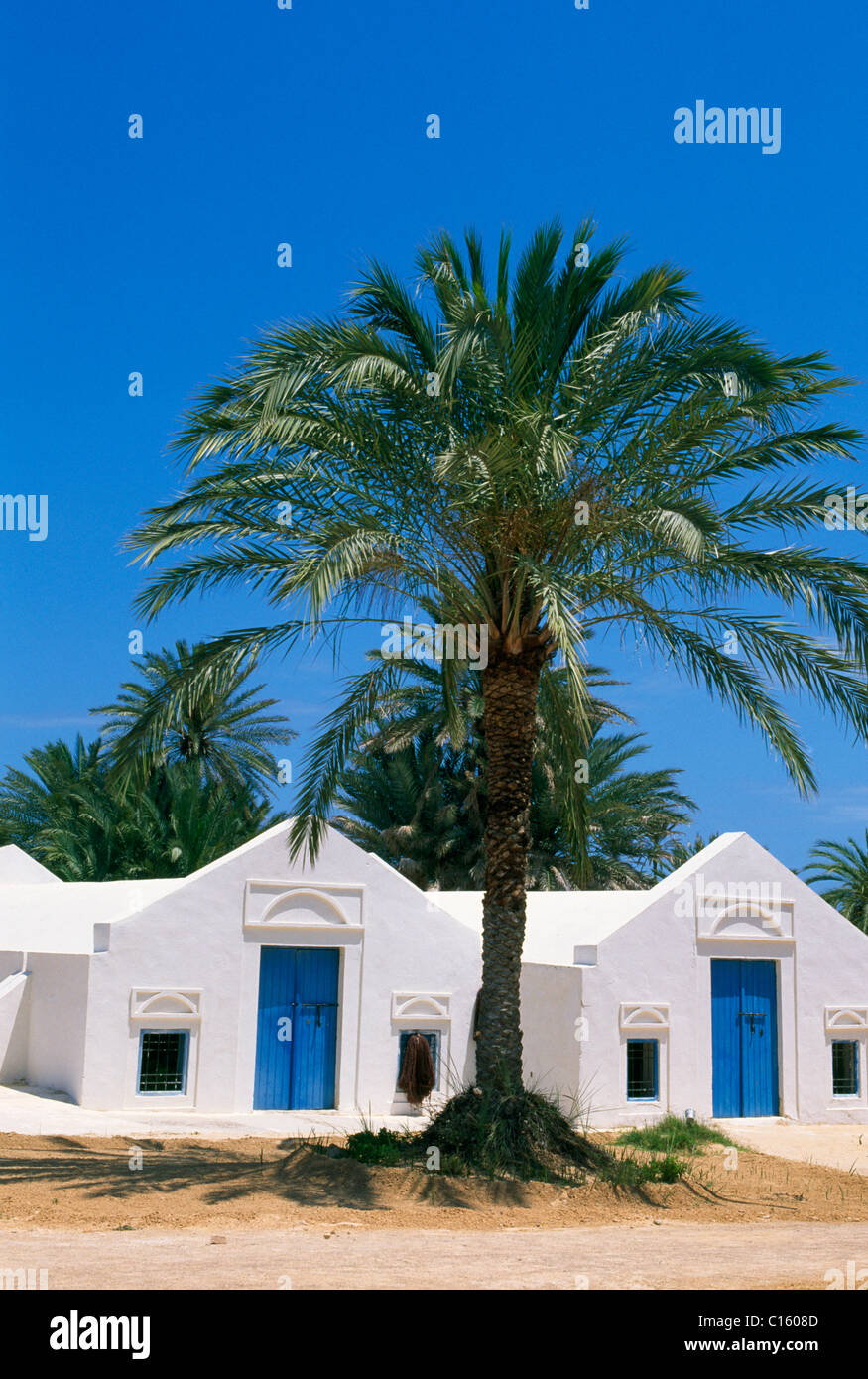 Traditional farmhouse, Menzel, Djerba, Tunisia, Africa Stock Photo - Alamy