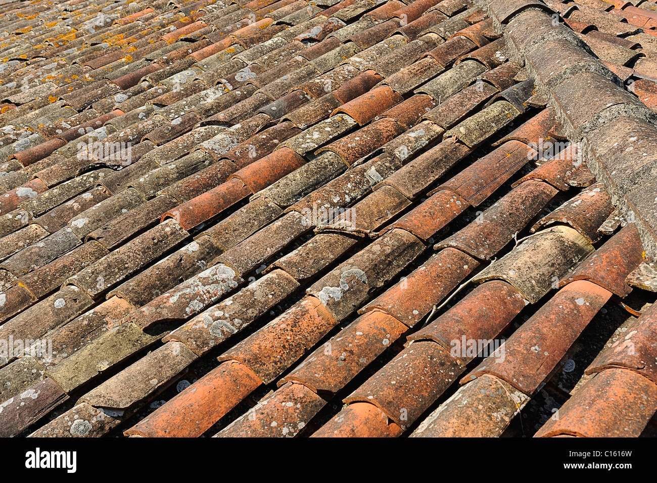 Roof tops covered with tiles in Brouage citadel, Charente Maritime ...