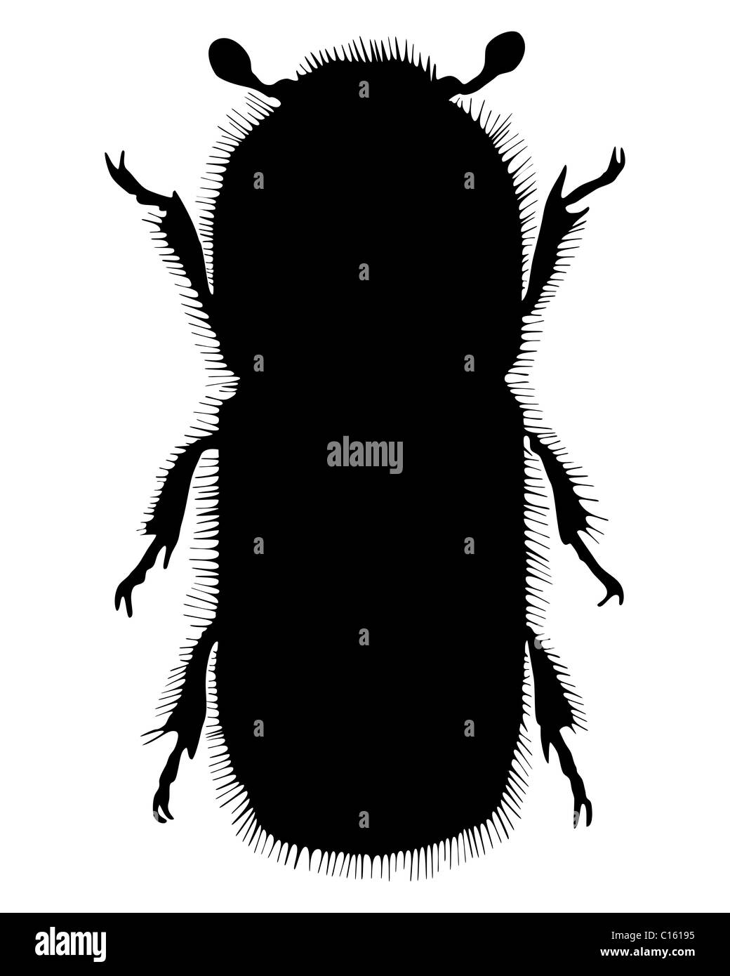 Spruce bark background Black and White Stock Photos & Images - Alamy