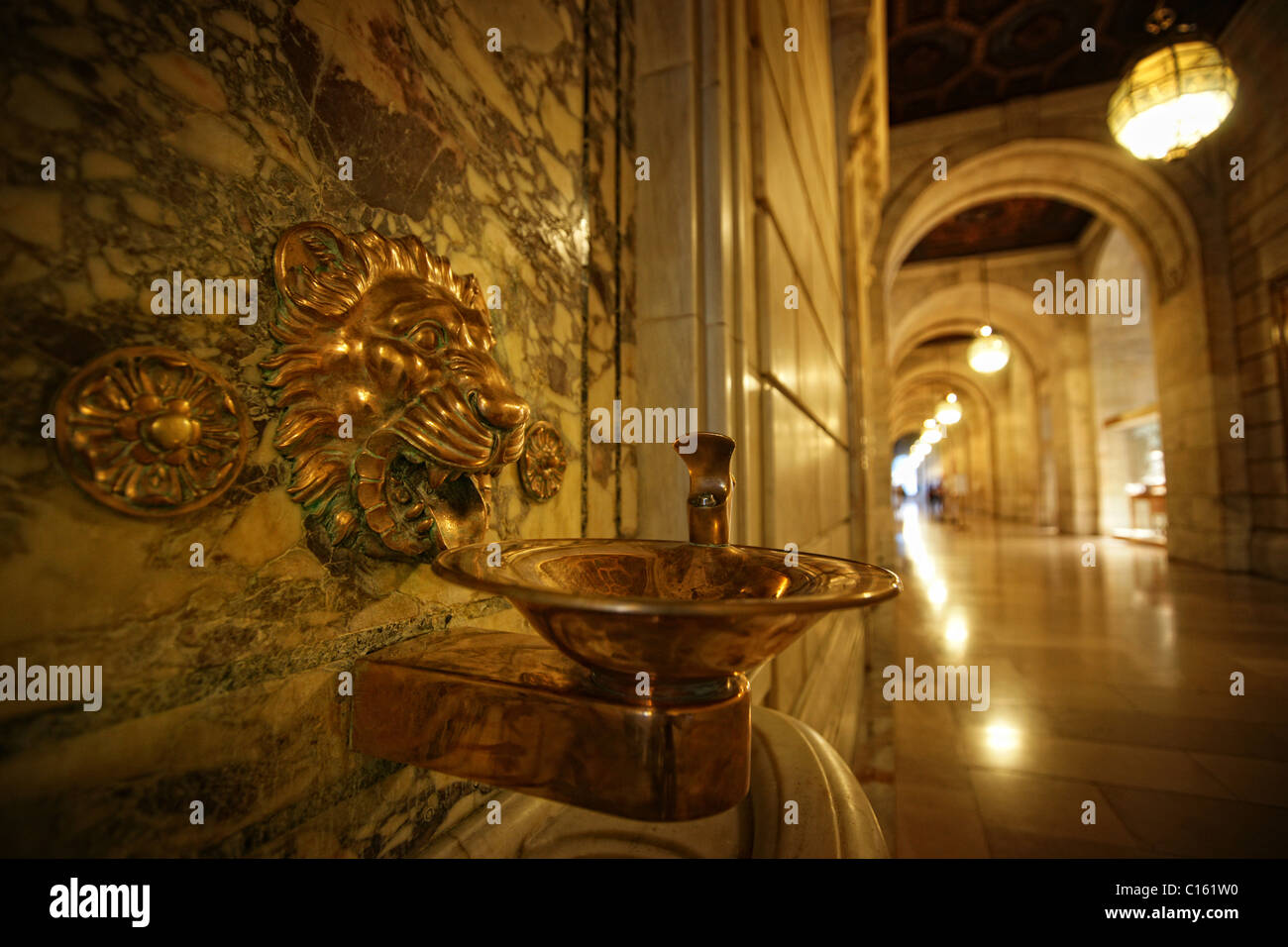 fosset in New York Public Library Stock Photo - Alamy