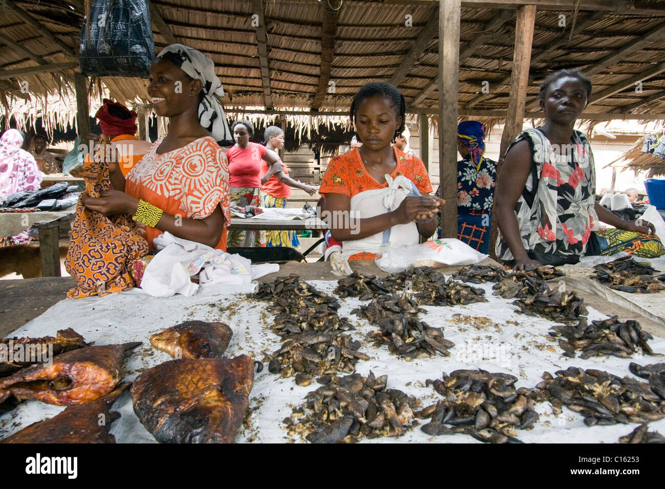 Congo fish hi-res stock photography and images - Alamy