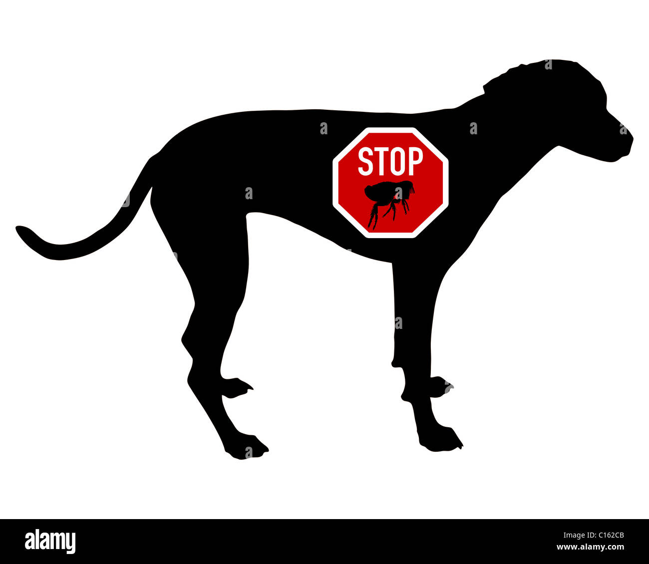 Dog stop sign for fleas Stock Photo - Alamy