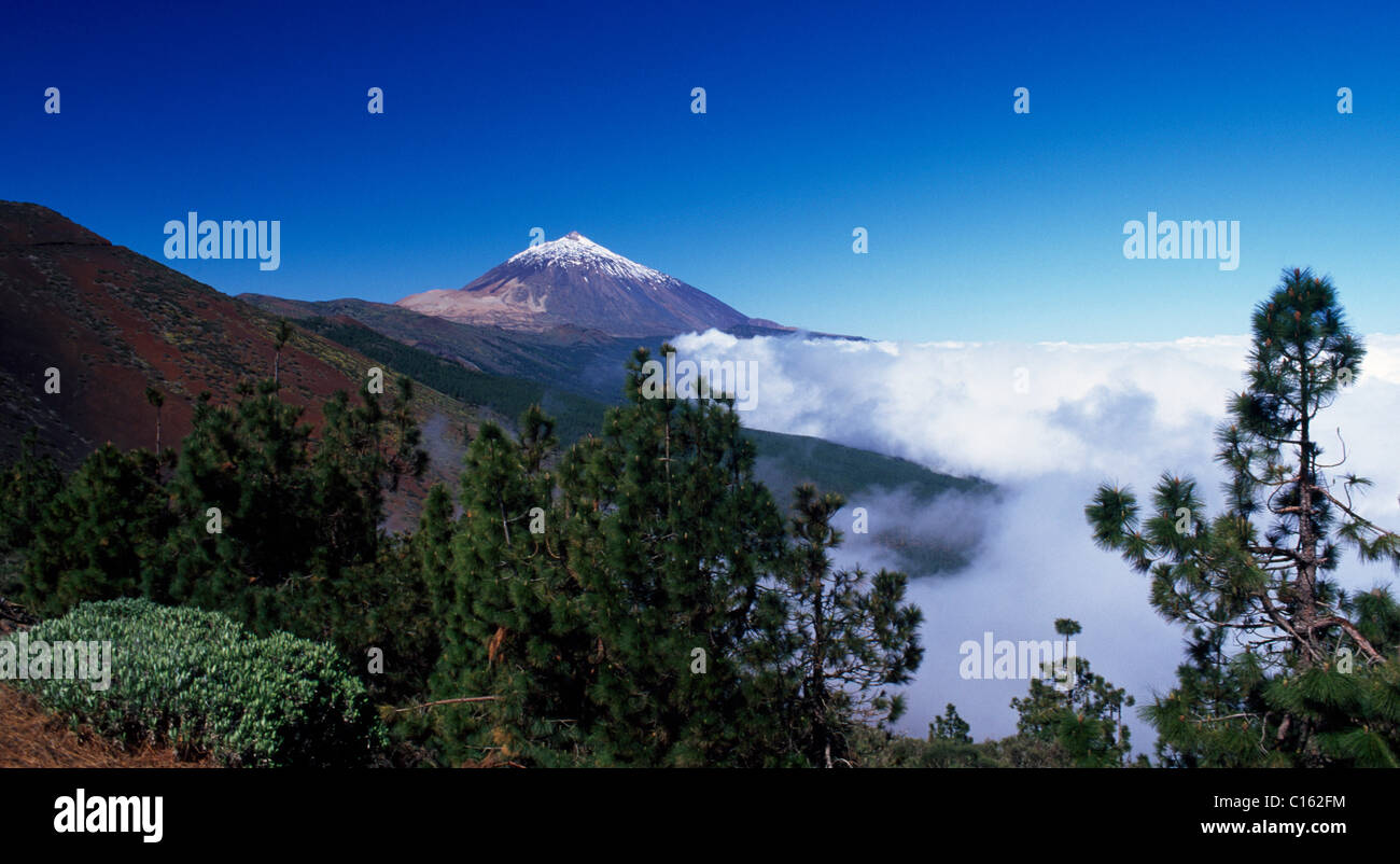 Tenerife canary islands mount hi-res stock photography and images - Alamy