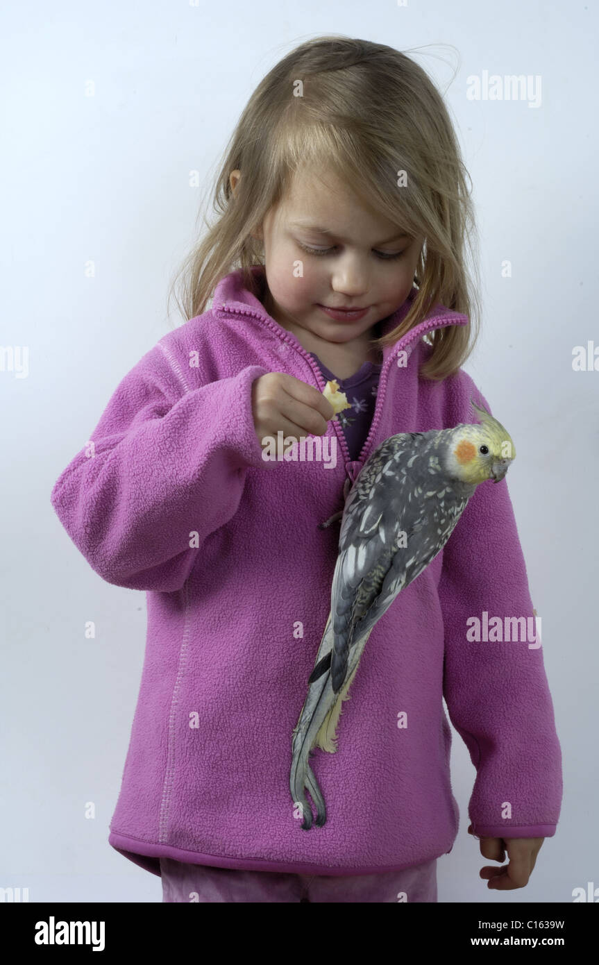 Girl cockatiel hi-res stock photography and images - Alamy