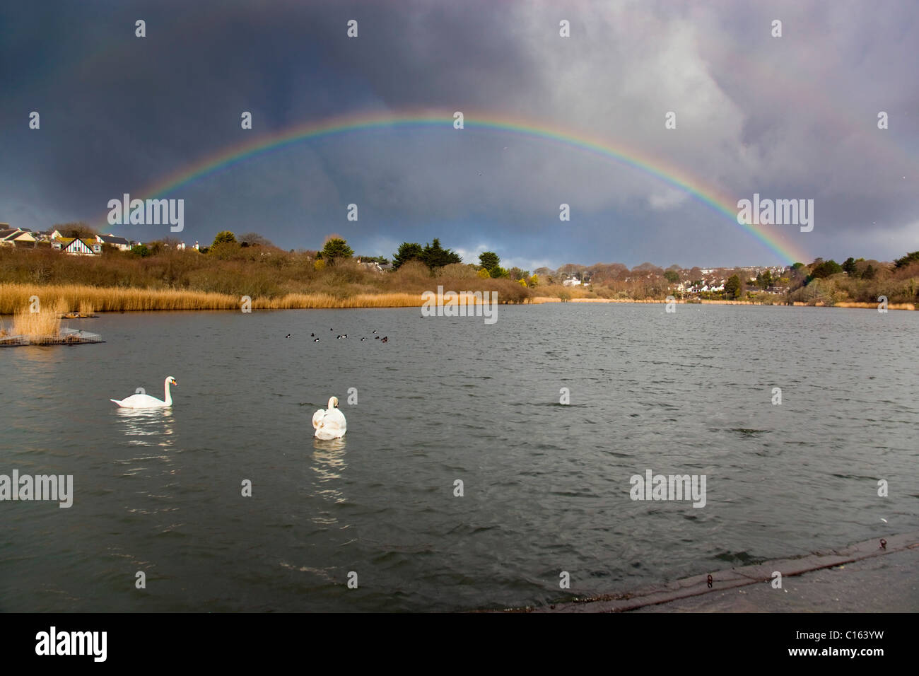 Swanpool uk hi-res stock photography and images - Alamy
