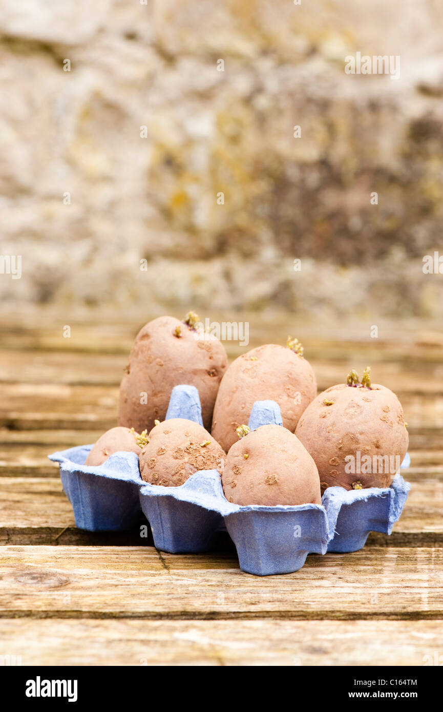 Waxy potatoes hi-res stock photography and images - Alamy
