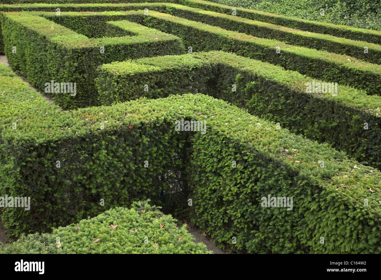 Labyrinth park hi-res stock photography and images - Alamy