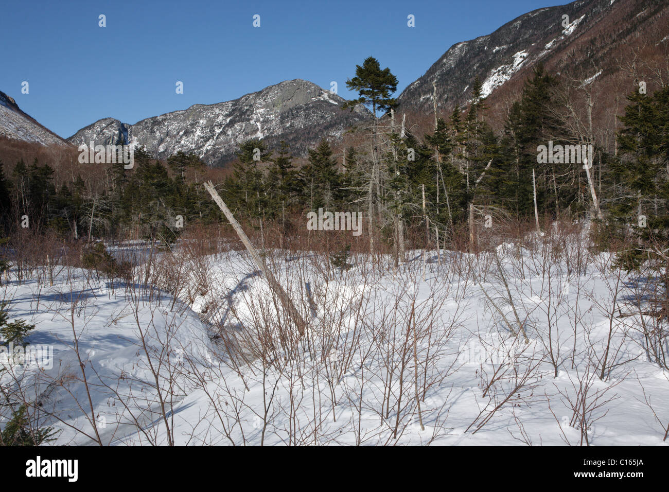 Franconia Notch State Park - Eagle Cliff from the Pemi Trail in the ...