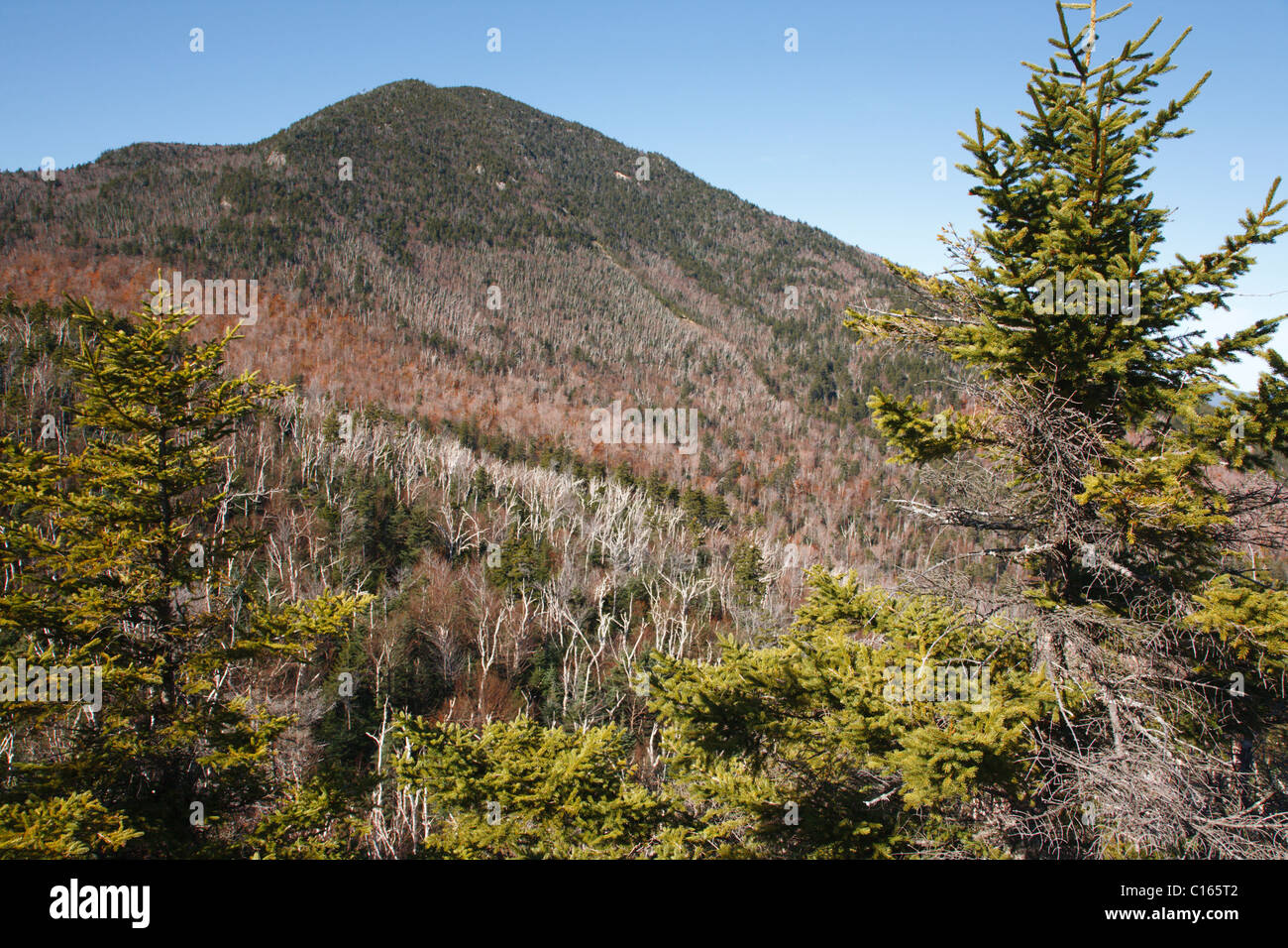 Sandwich Range Wilderness - Mount Passaconaway from Square Ledge in the ...