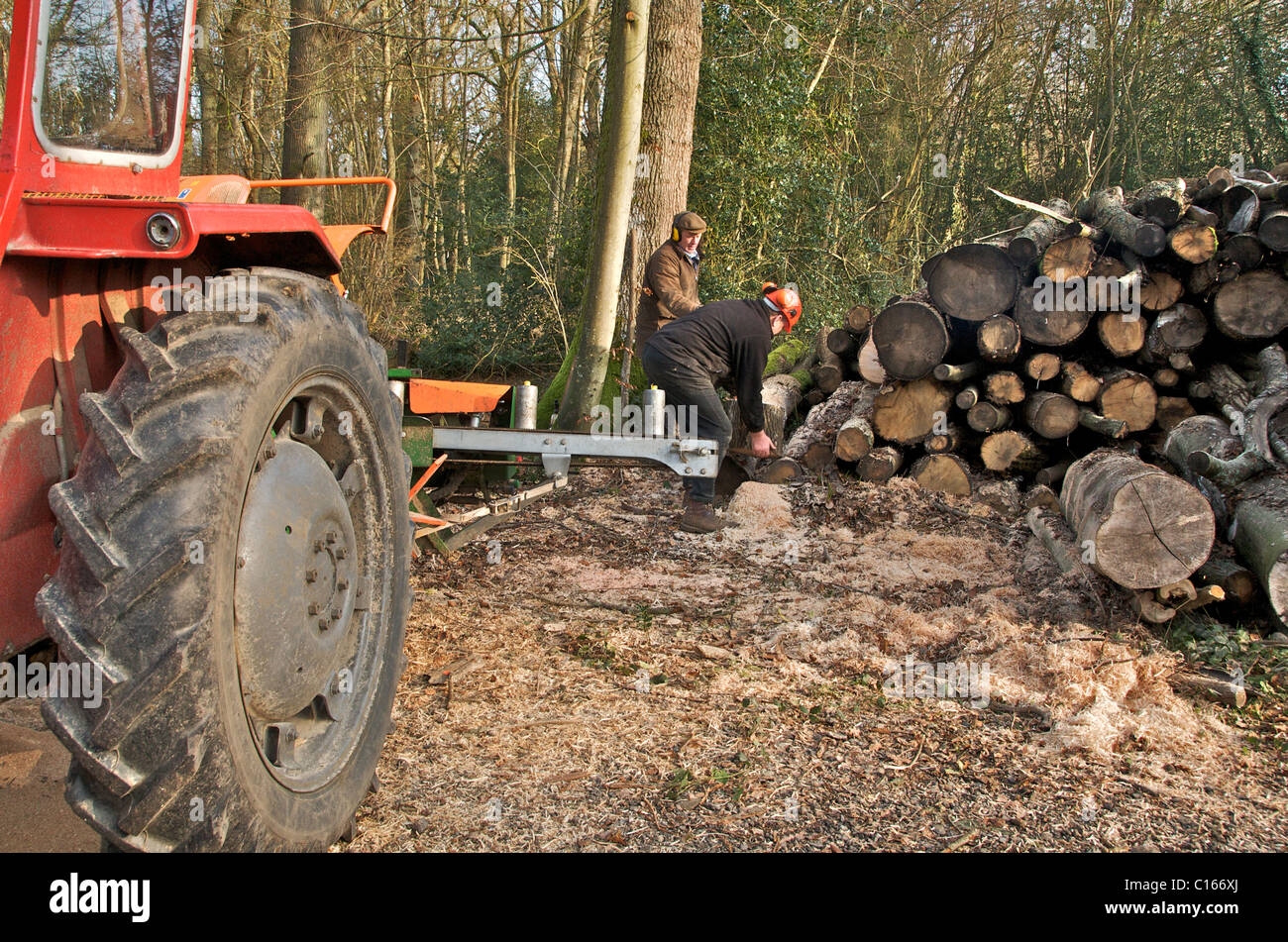 Cutting and splitting logs for domestic fuel use in woodburning stoves ...